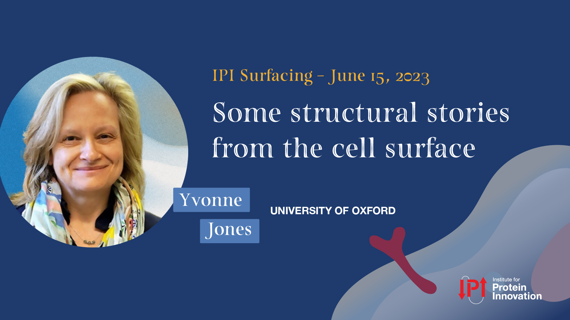 Yvonne Jones at IPI Surfacing: Some structural stories from the cell ...