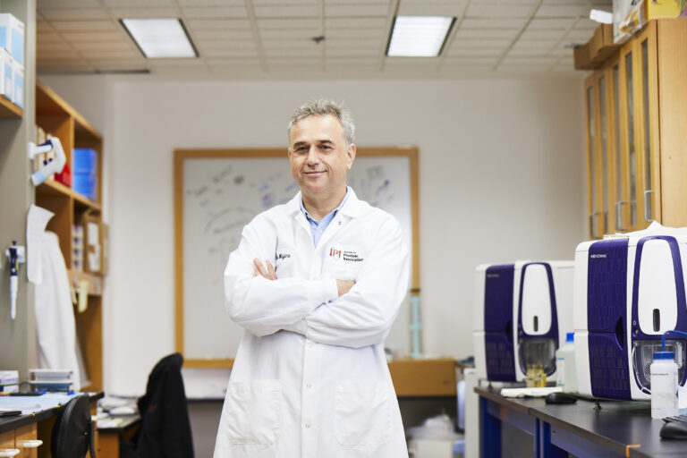 Axon Guidance: Explained - Institute for Protein Innovation